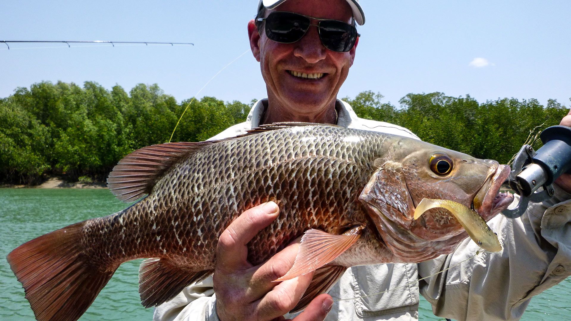 The Fish — Dhipirri Barra & Sportfishing Lodge Arnhemland