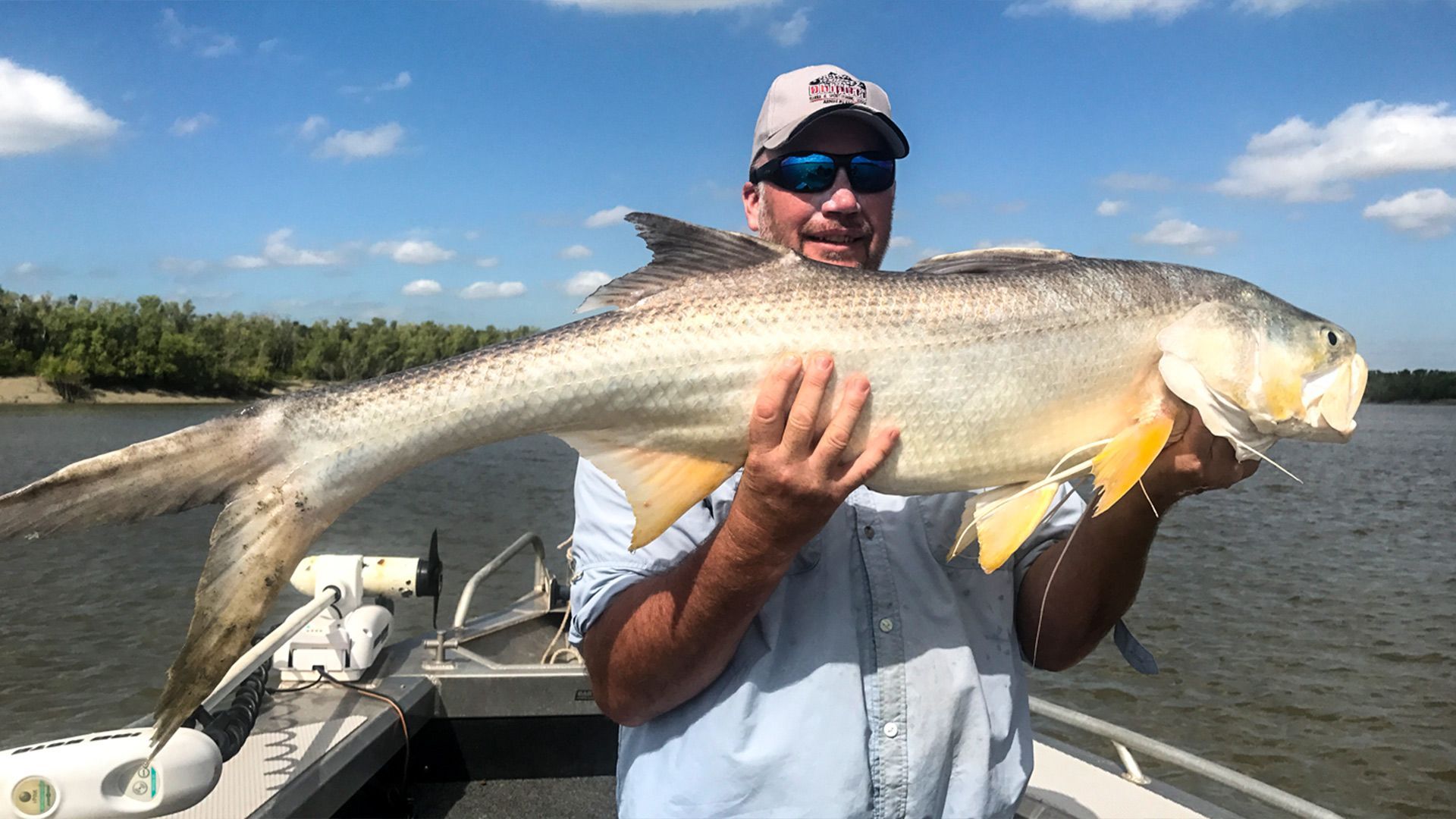 The Fish — Dhipirri Barra & Sportfishing Lodge Arnhemland