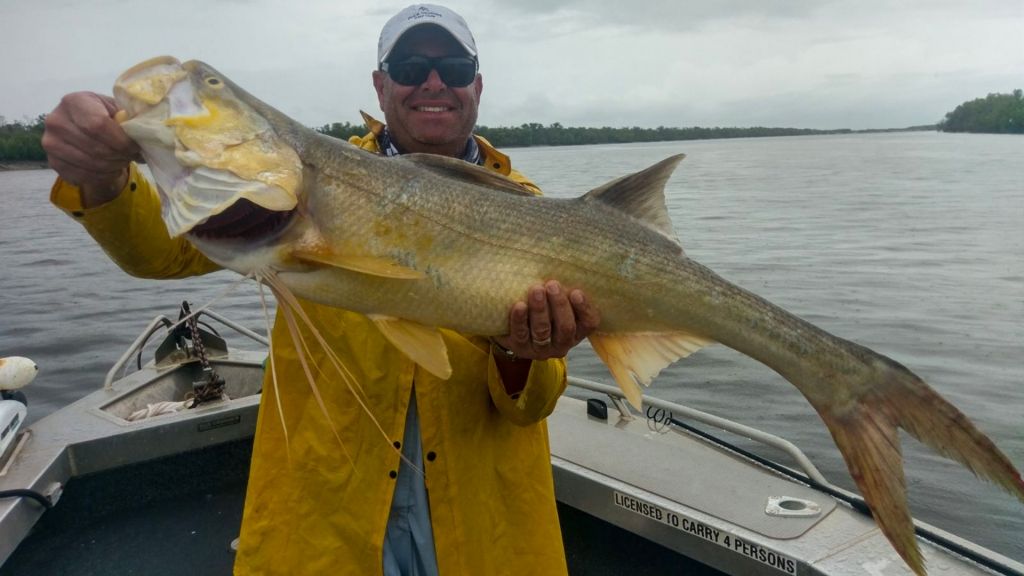 The Fish — Dhipirri Barra & Sportfishing Lodge Arnhemland