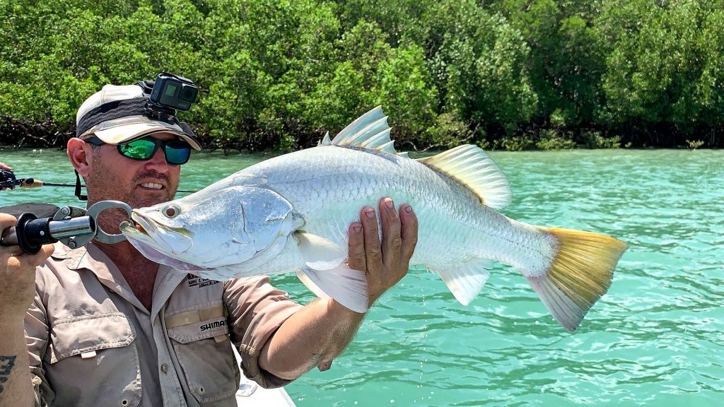 The Fish — Dhipirri Barra & Sportfishing Lodge Arnhemland