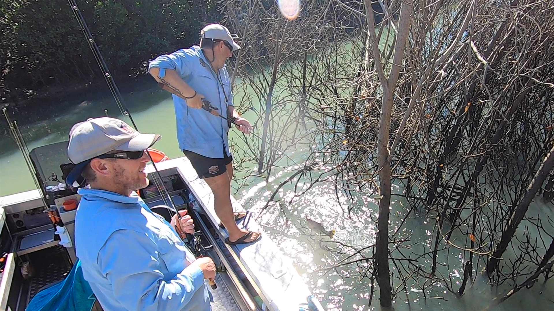 Video: Catching Barra without casting... easy as! — Dhipirri Barra ...