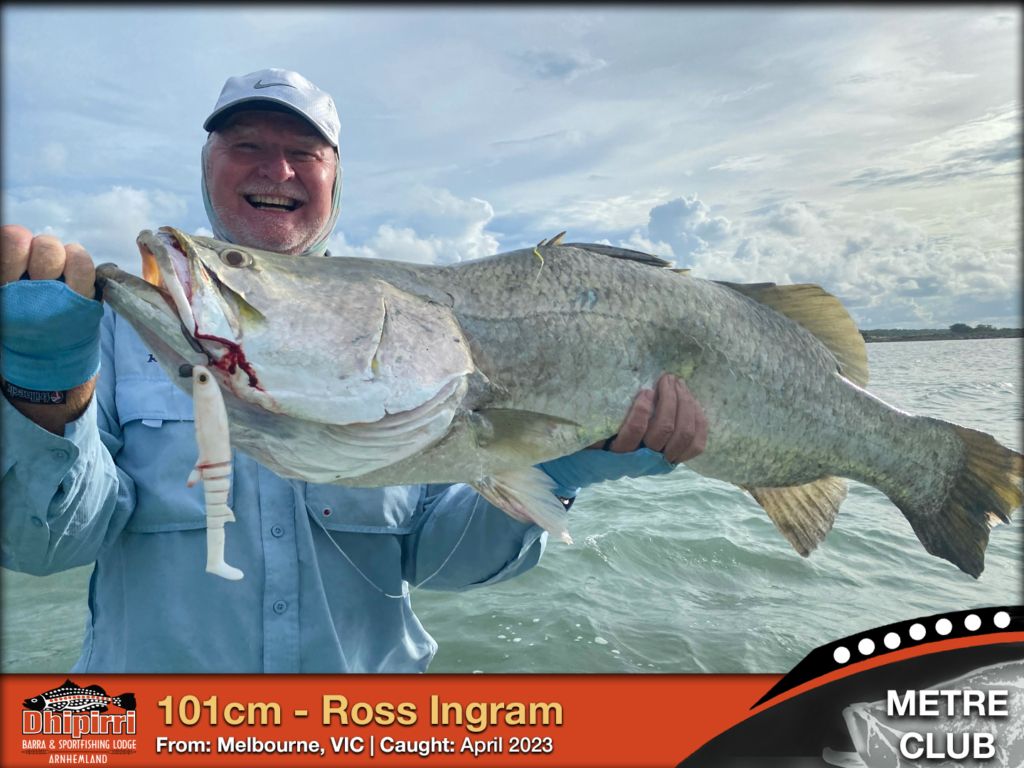 Metre Barra Club & Testimonials — Dhipirri Barra & Sportfishing Lodge ...