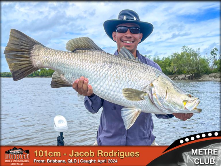 Metre Barra Club & Testimonials — Dhipirri Barra & Sportfishing Lodge ...
